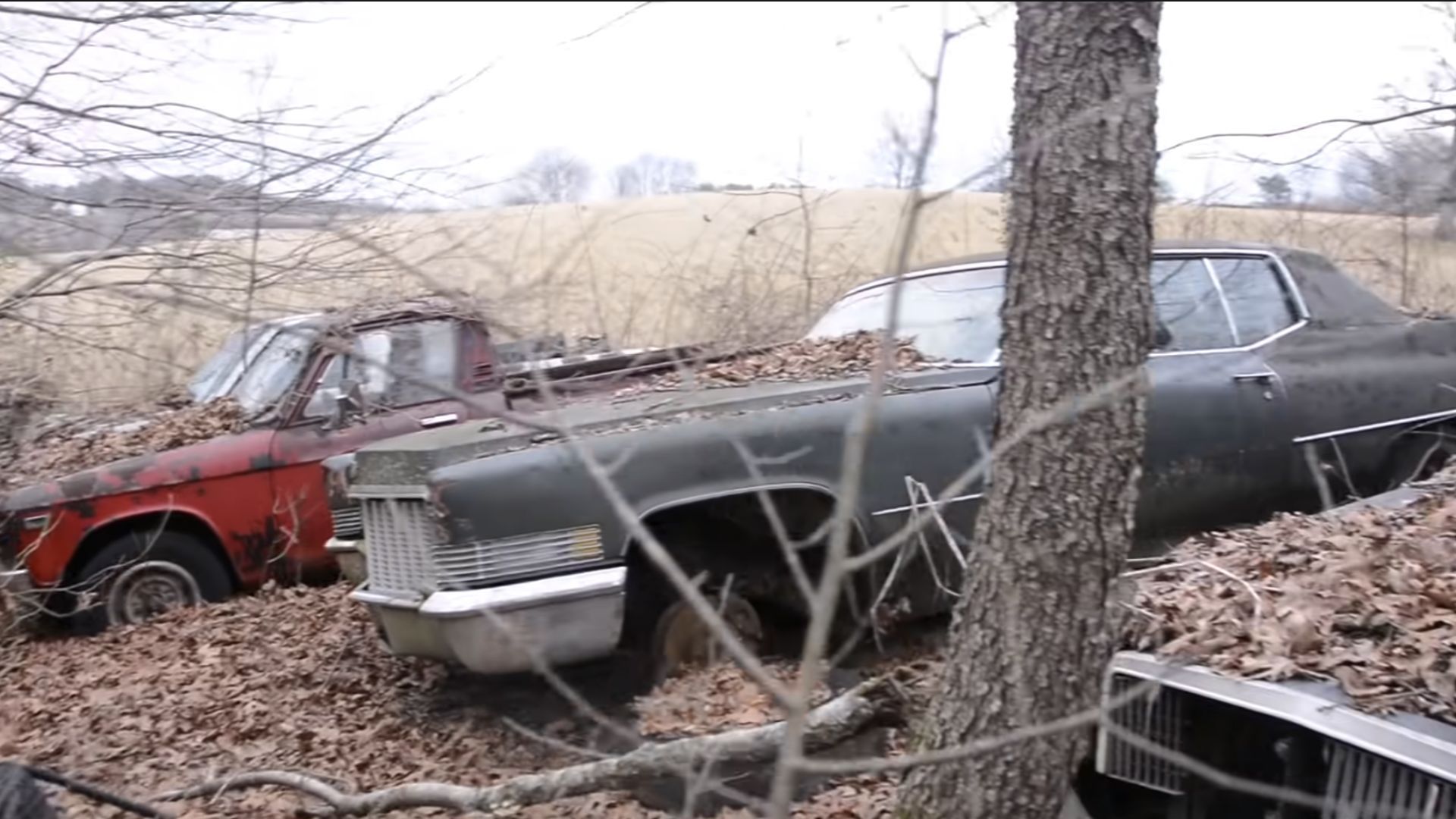 Insane Collection Of Old Cars On Hot Rod Hoarders