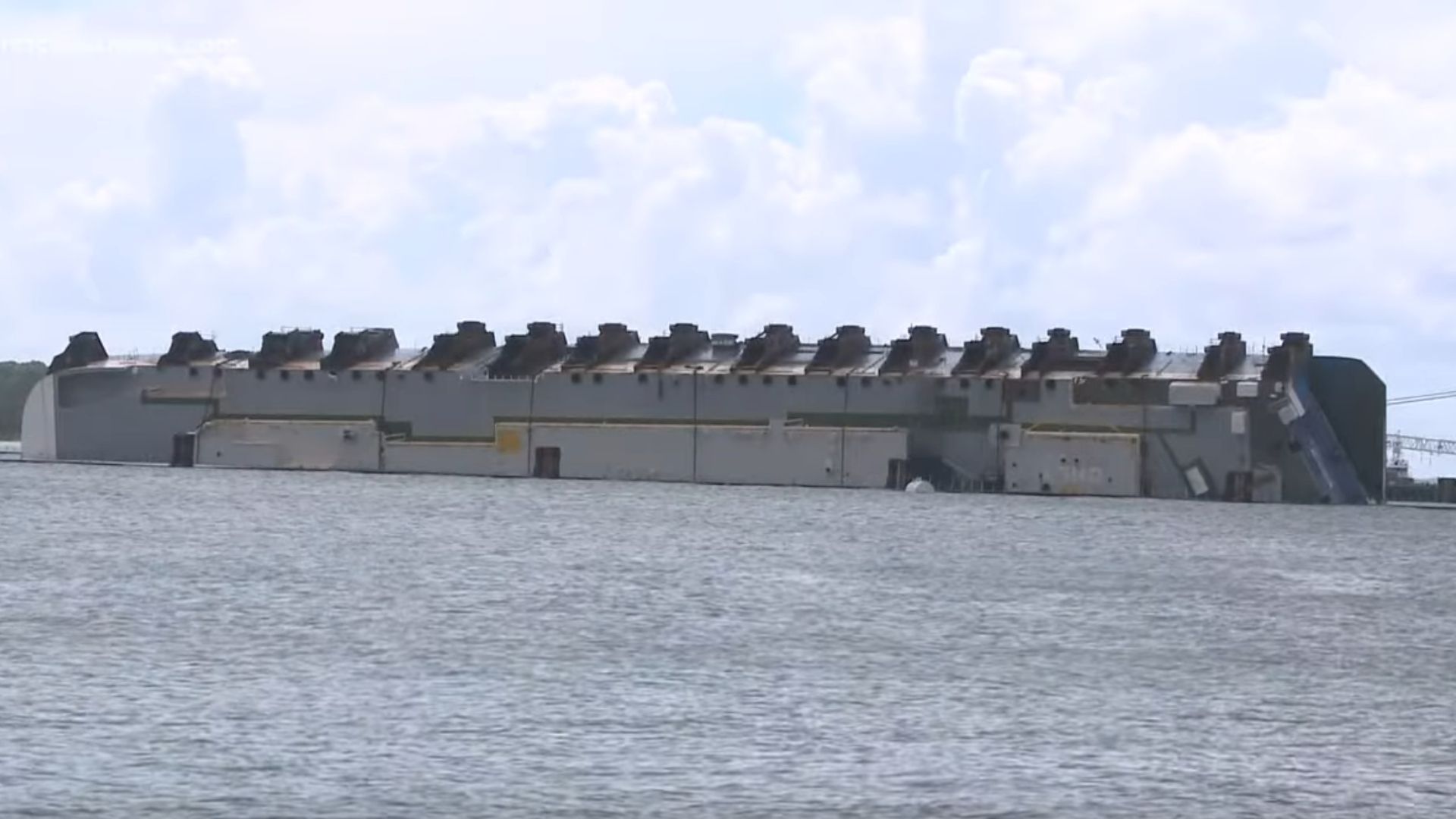 Golden Ray Shipwreck Destroyed Over 4,000 Cars