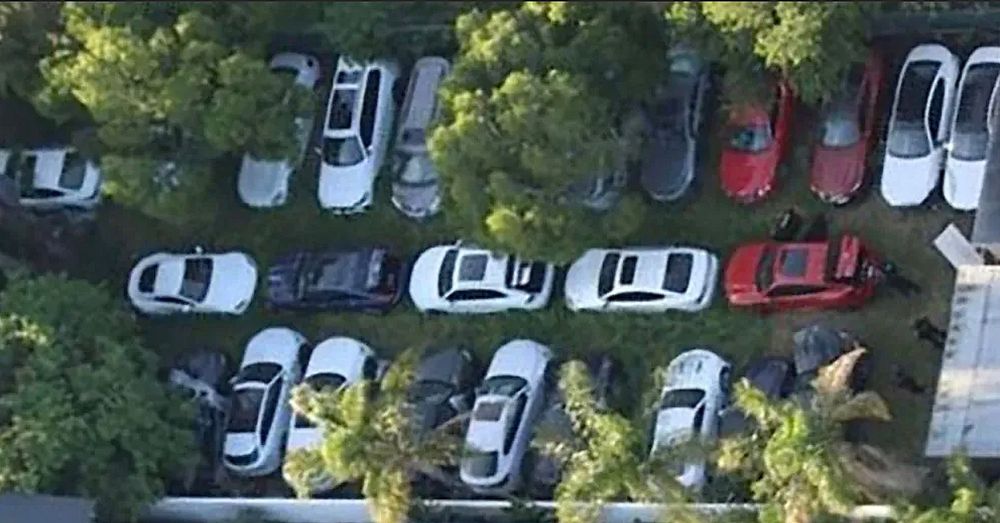 35 Luxury Cars Recovered In $2.3 Million Car Theft Bust