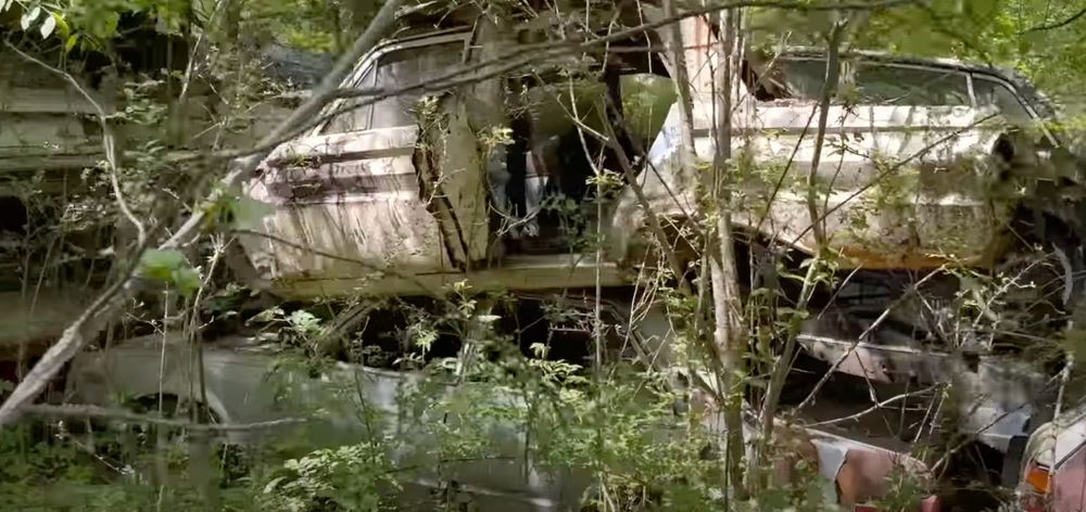 There Are 4000 Vehicles Hidden On This Property