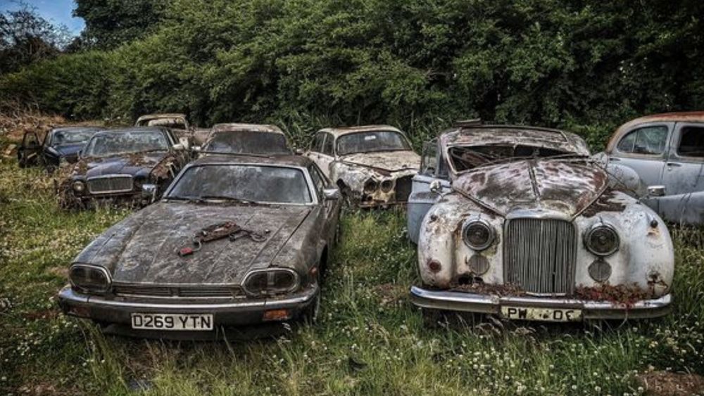 Secret Site Hides Rotting Classic British Cars