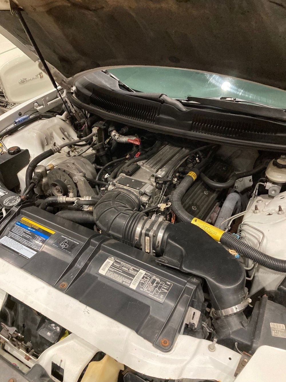 1994 25th Anniversary Trans Am