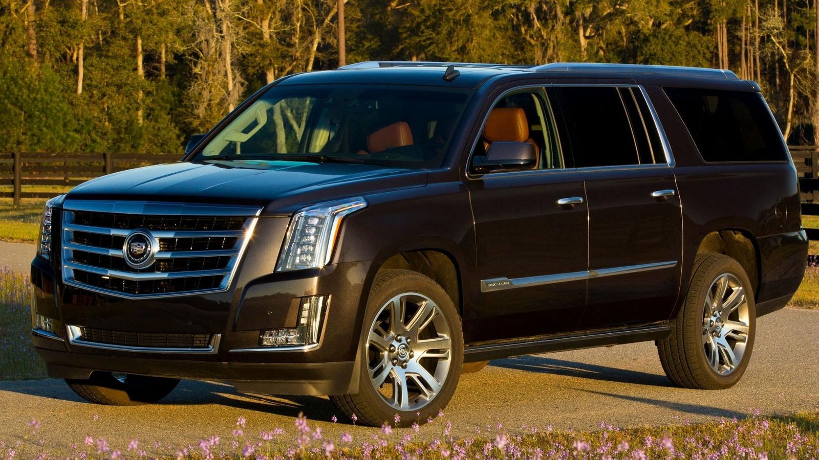 Dana White Has Quite The Car Collection