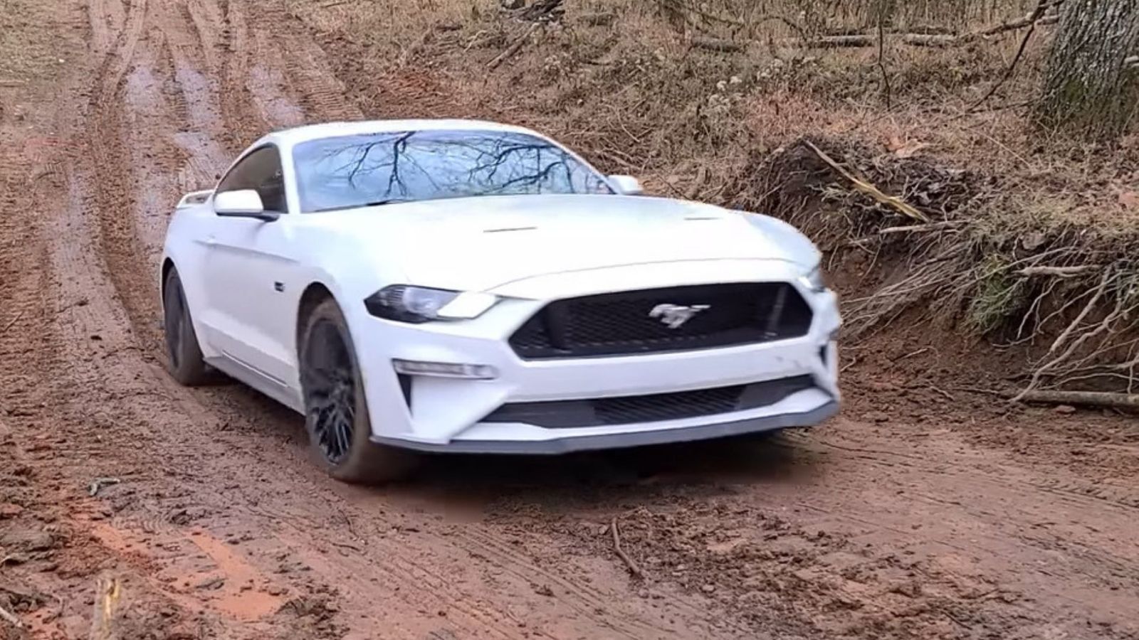 This Mustang Is A Hill Climb Monster