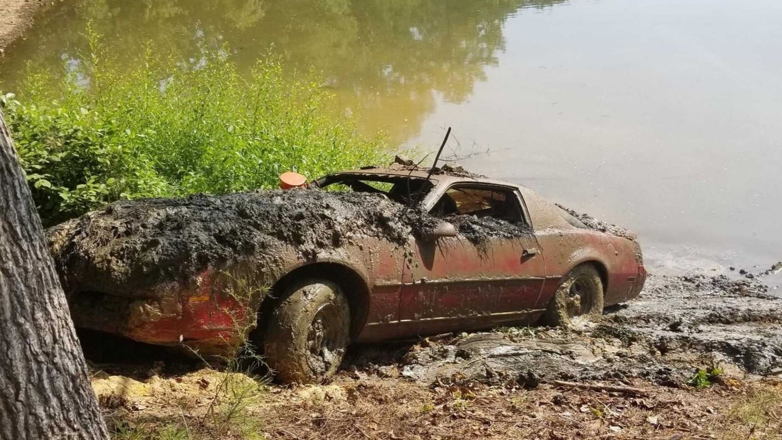 Check Out These Interesting Cars Found Underwater