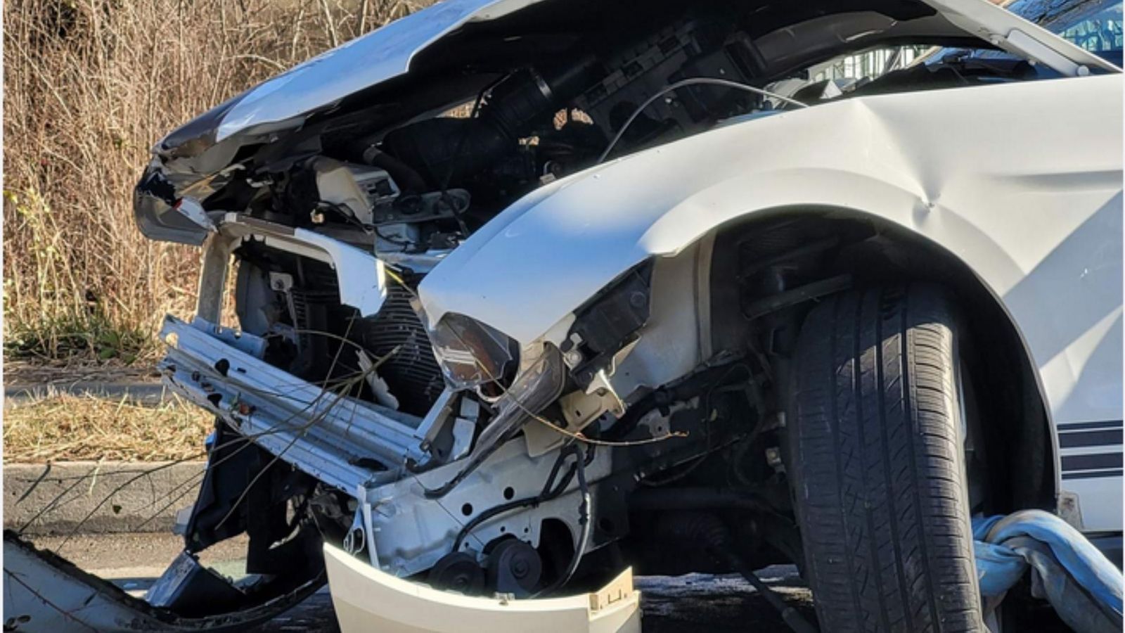 Mustang Fleeing Police Crashes Into Ditch