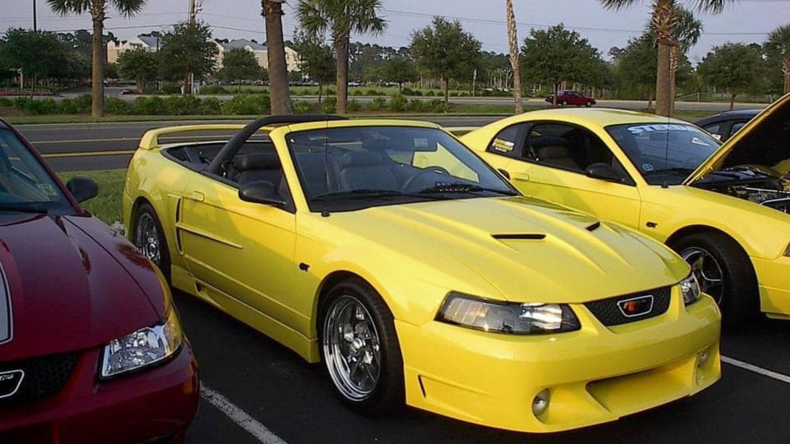 Mustang Week Celebrates 20th Gathering