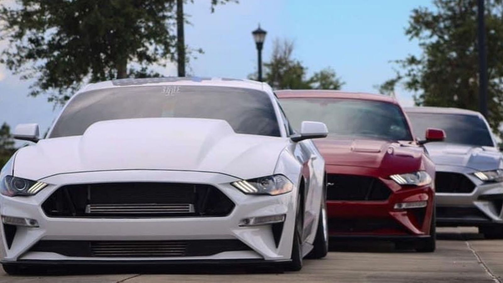 Mustang Week Celebrates 20th Gathering