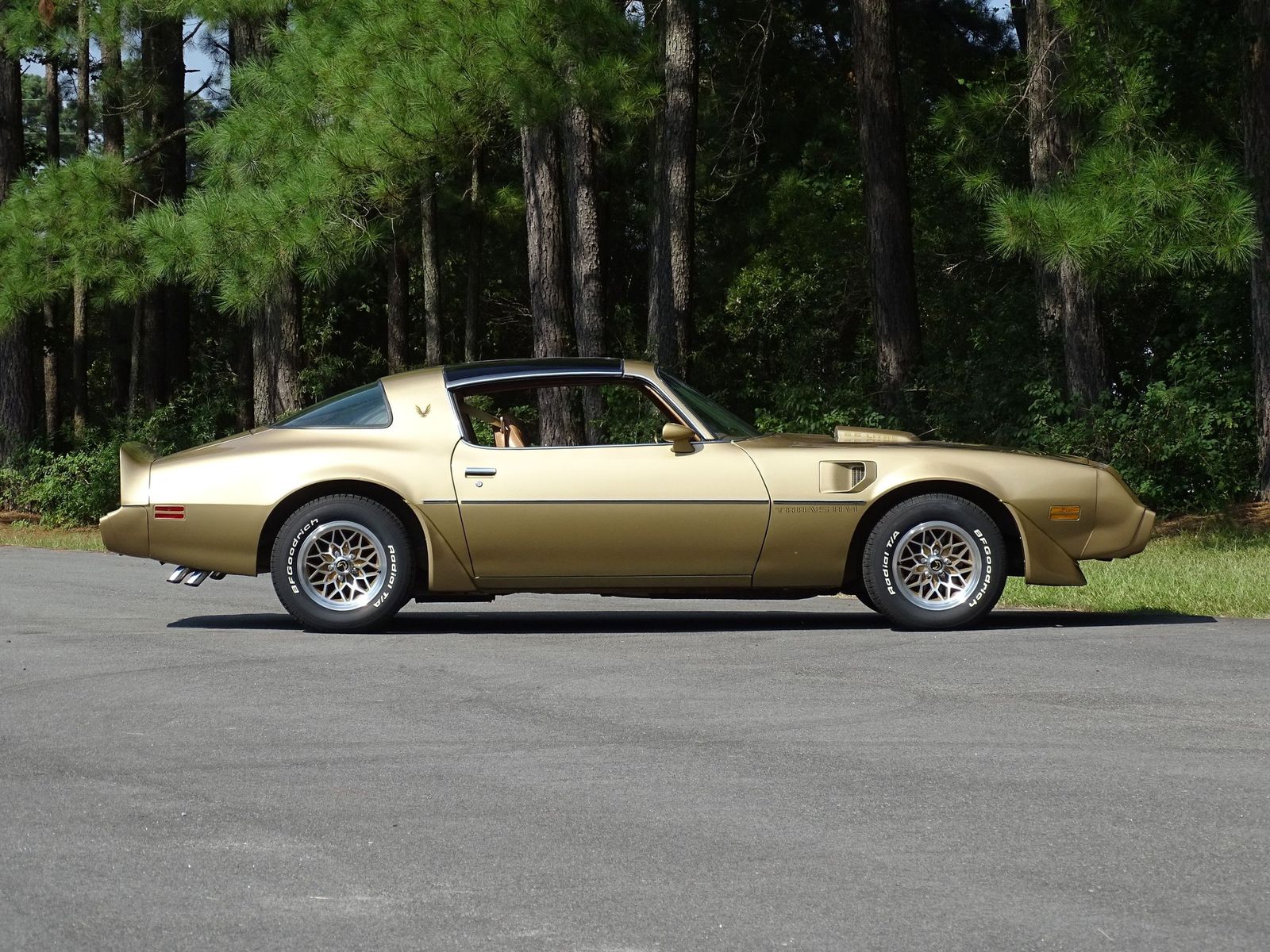 1979 Pontiac Trans Am Is A Numbers Matching Gold Star