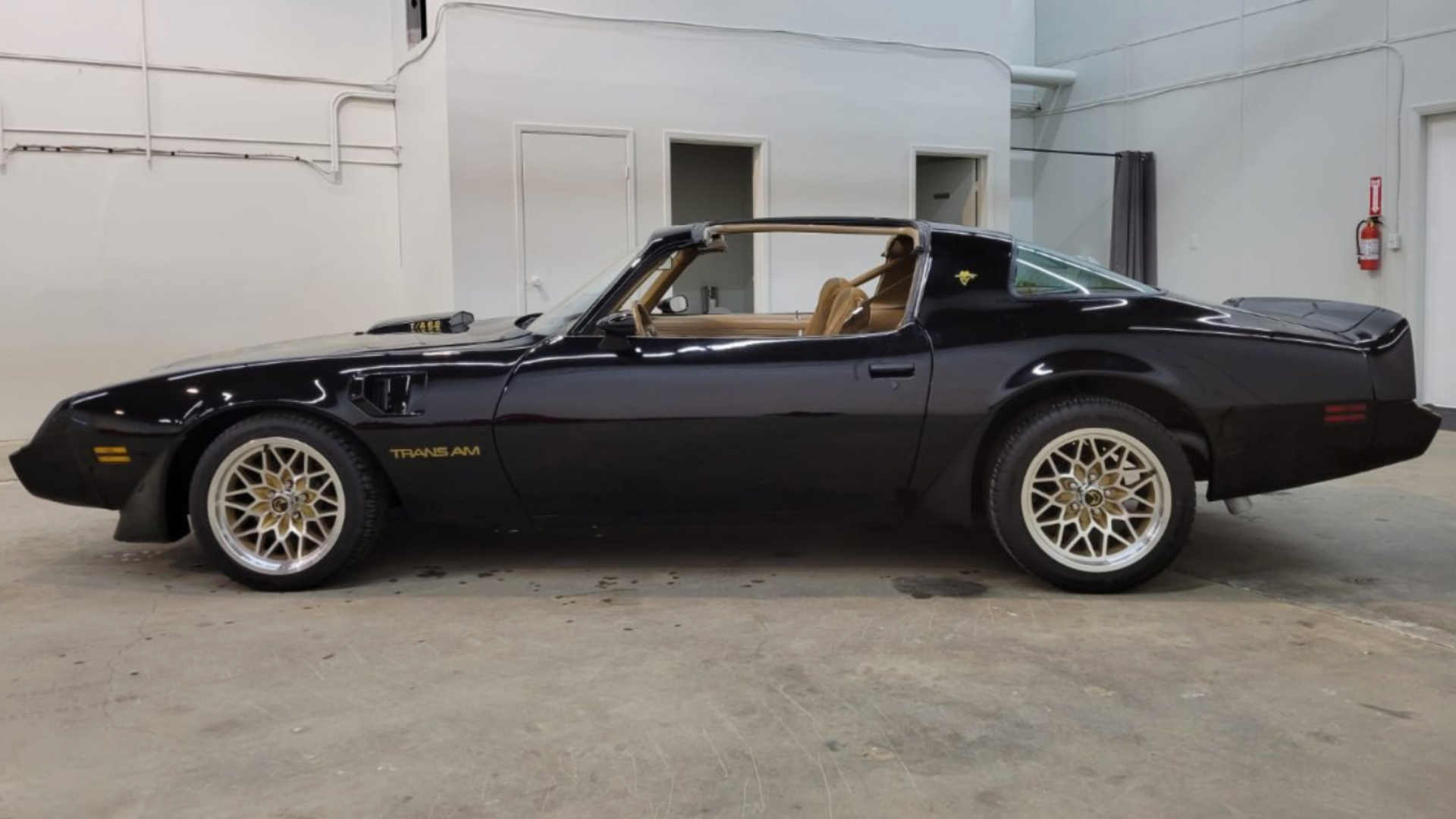 1979 Pontiac Firebird Trans Am Bandit Edition