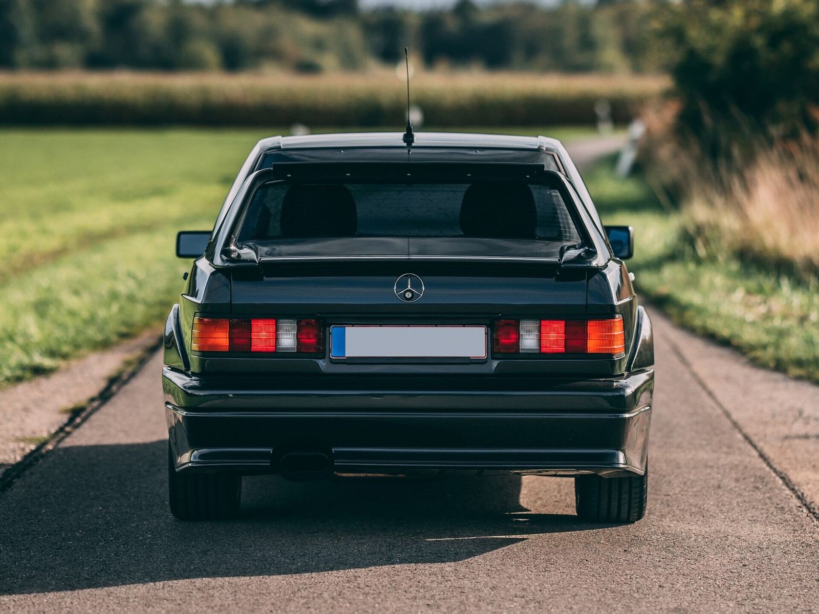 Mercedes 190 E 2.5-16 Evolution II is #229 of 502