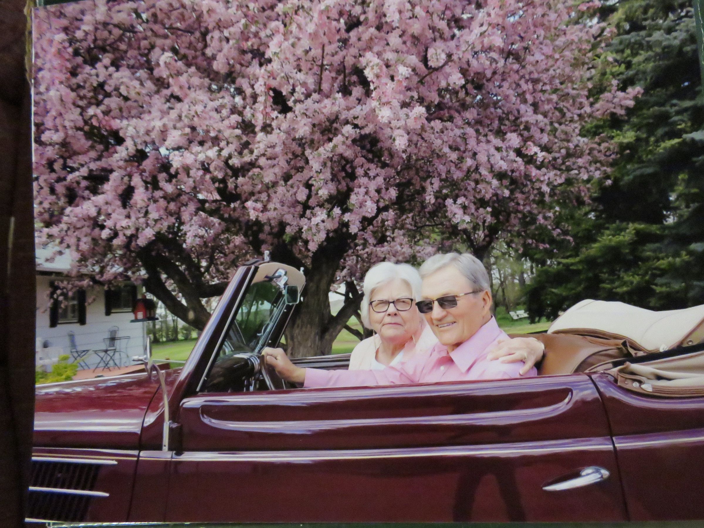 Classic Car Collection At The Center Of Love Story