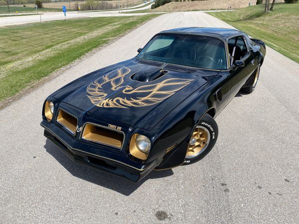 Black & Gold Trans Am History: Y82, Y84, and the Bandit Legacy
