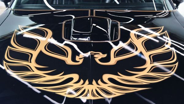 Genuine 1977 Pontiac Trans Am SE Bandit Edition Fulfills Fantasies